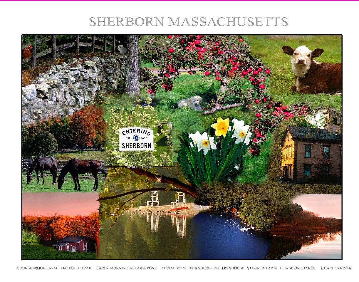 Town Of Sherborn Ma